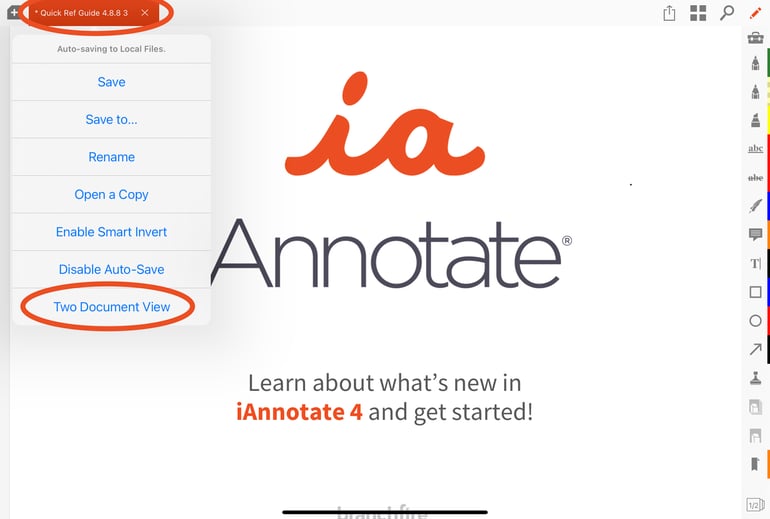 Using Two Document View in iAnnotate